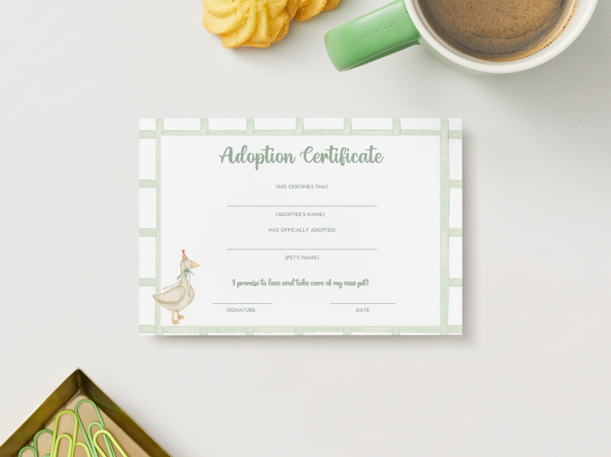 Silly Goose Adoption Certificate – The Mel Boutique